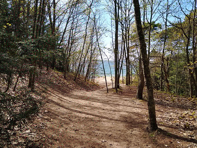 Where forest meets dunes meets Great Lake. Saugatuck's diverse landscapes offer a three-course feast for nature lovers.