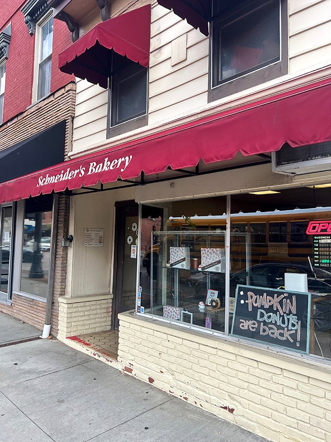 "Pumpkin Donuts are Back!" Three words that cause more excitement than a winning lottery ticket in this charming historic storefront.
