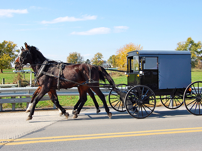 The ultimate eco-friendly vehicle! This Amish buggy in Strasburg runs on hay and leaves nothing but hoofprints.
