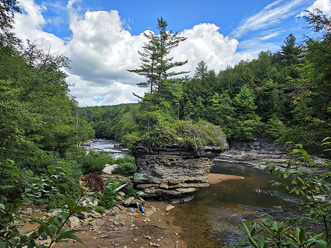 Muddy Creek Falls plunges into a crystal pool, surrounded by forest that hasn't changed its mind in centuries.