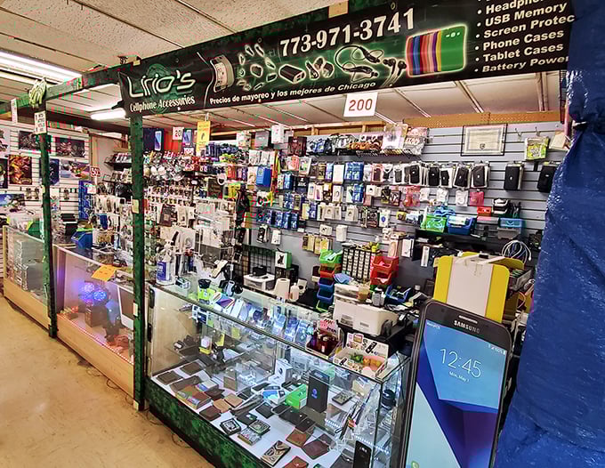 From vintage clothing to modern gadgets, Swap-O-Rama's indoor wonderland keeps shoppers cozy even during Chicago's infamous winters.