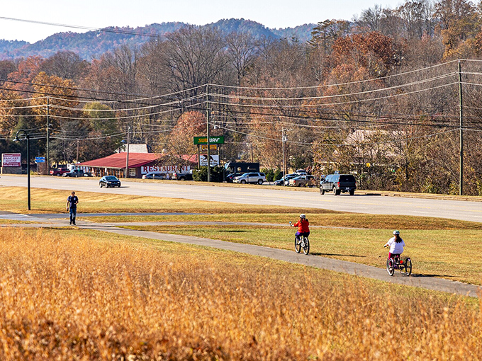 Where the Smokies meet civilization, creating a view that makes your blood pressure drop just looking at it. 