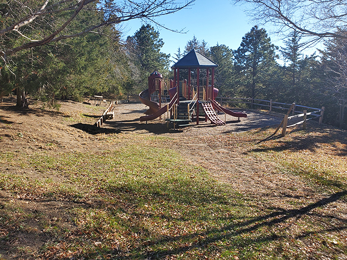 An open green space that whispers, "Hey, how about a picnic right here?" Your sandwich will taste 50% better, guaranteed.