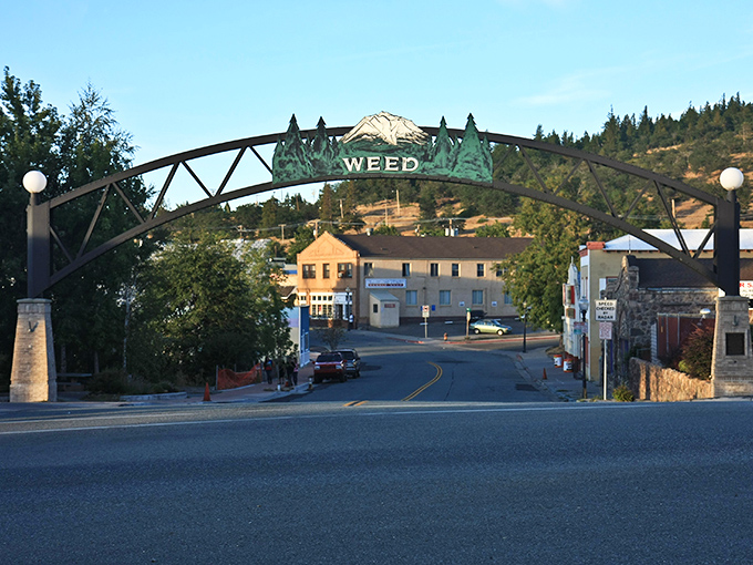Weed's famous entrance arch stands proud against blue skies, with Mt. Shasta watching over this quirky-named mountain town.