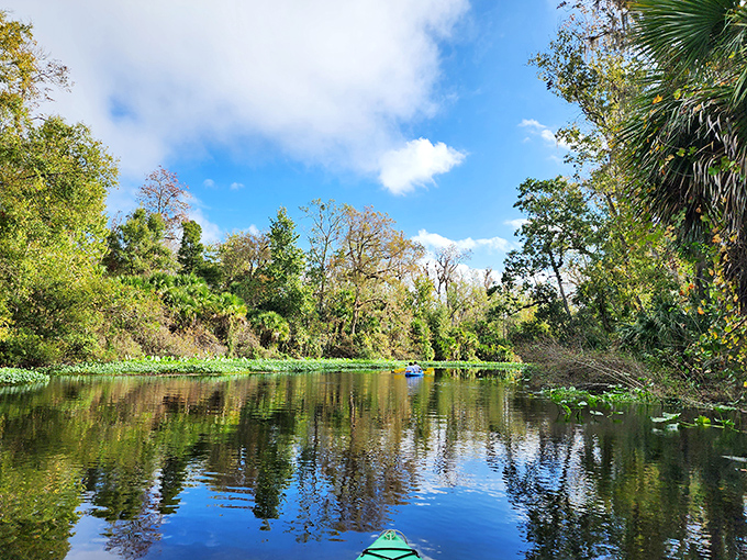 Crystal clear water surrounded by nature's own beach club, minus the membership fees and attitude.