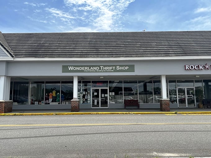 Sunlight streams through Wonderland's windows, illuminating possibilities for budget-conscious shoppers.