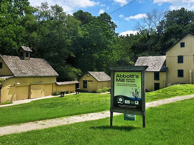 Abbott's Mill Nature Center proves that paradise doesn't need palm trees—sometimes it's just a historic gristmill surrounded by trails that whisper Delaware's natural secrets.