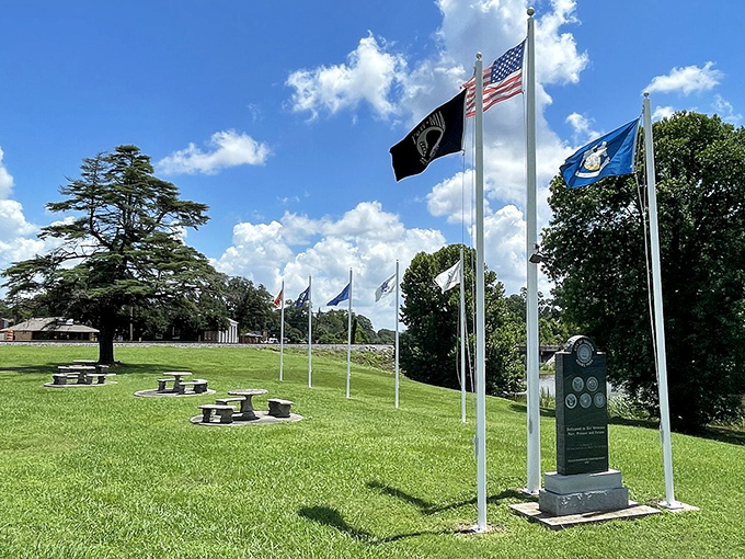 Adams Park's flag display honors service and sacrifice, creating a peaceful spot for reflection under the watchful gaze of Louisiana's endless sky.