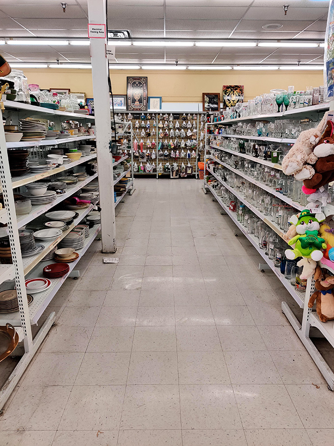 Dishware on the left, glassware on the right, and endless possibilities in between. One person's castoff serving platter becomes another's conversation piece. 