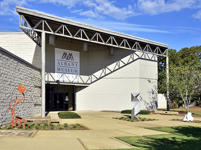 The Albany Museum of Art combines contemporary design with cultural treasures, proving you don't need a metropolis to experience world-class art.