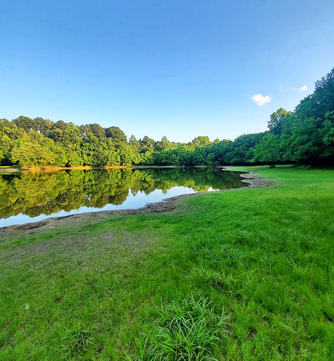 Amerson River Park's tranquil waters reflect Georgia skies, offering nature therapy without the hefty spa bill.