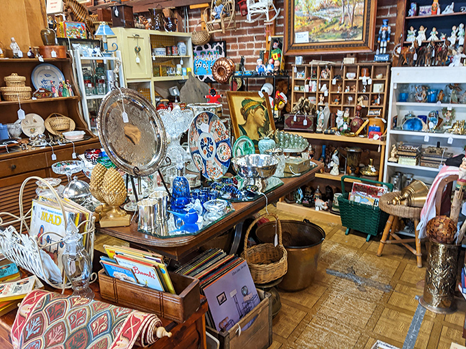 Every surface teems with possibility in this collector's paradise, where blue glass catches the light and vintage books await their next reader.