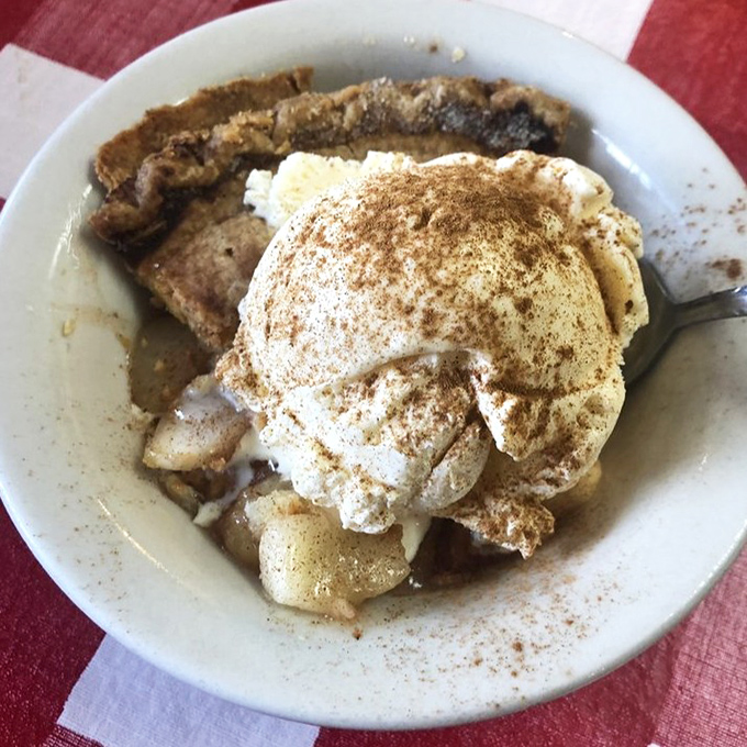 This isn't just apple pie&mdash;it's a warm hug in dessert form, complete with a scoop of vanilla ice cream melting into those cinnamon-kissed apple depths.