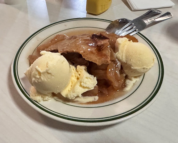 Apple pie à la mode: proof that sometimes the simplest pleasures create the sweetest memories worth savoring.