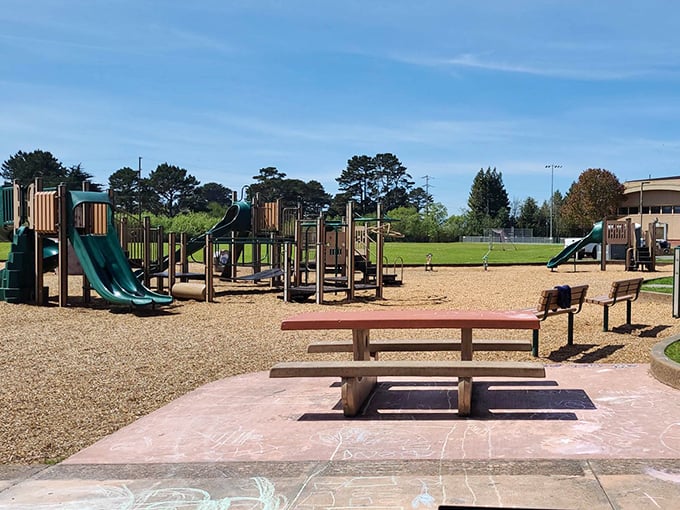 At Arcata's community parks, childhood laughter echoes against wooden play structures while parents enjoy nature's perfect backdrop.