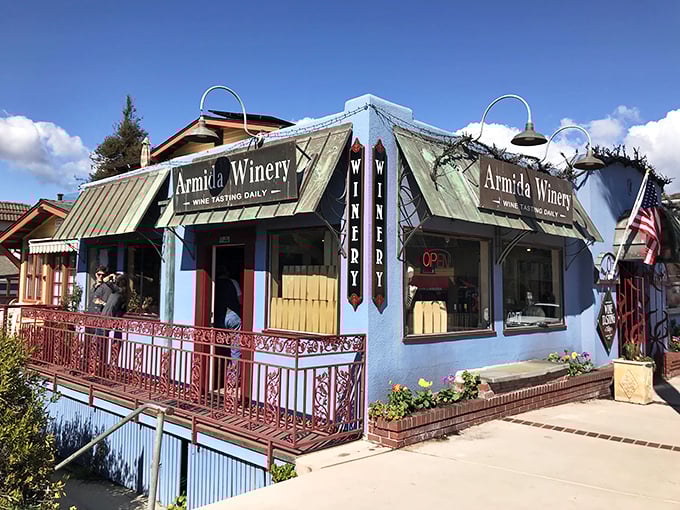 At Armida Winery's tasting room, "wine o'clock" happens with ocean views. It's like someone finally combined your two favorite vacation activities into one perfect afternoon.