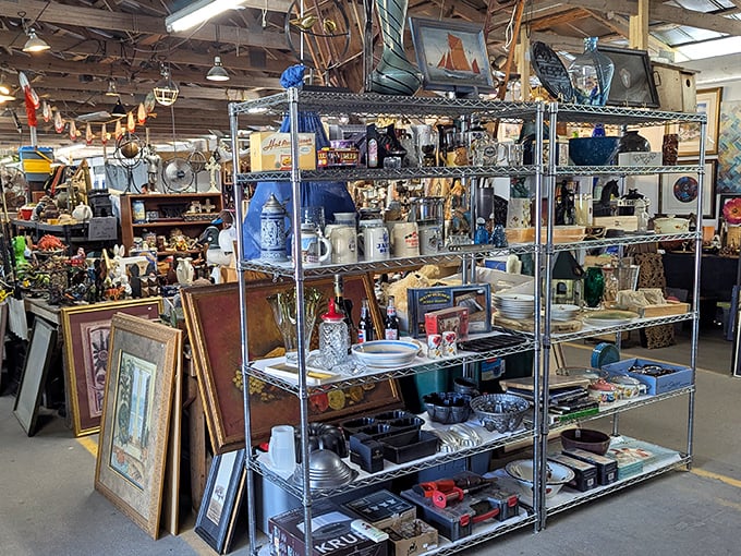 Vintage frames lean casually against metal shelving, like old friends waiting to be introduced to your family photos and bare walls.