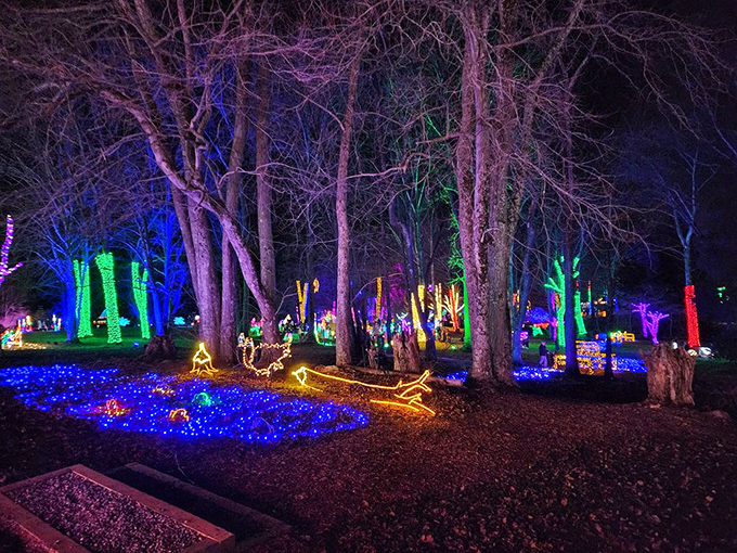 When the gardens put on their evening gown and a million lights, magic isn't just possible—it's guaranteed.