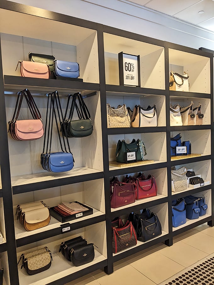 Coach bags arranged with military precision, each one silently arguing why it deserves to be your next "investment piece."