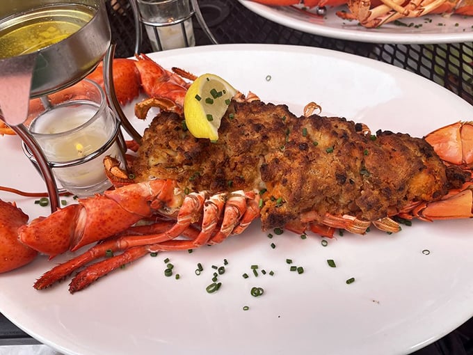 The Baked Stuffed Lobster arrives like Neptune's crown jewel&mdash;a crustacean masterpiece that's worth every bit of the inevitable bib-wearing.