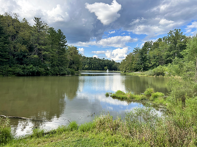 Mother Nature showing off at Barnesville Memorial Park&mdash;where the water is so still it looks like it's posing for its LinkedIn profile picture.