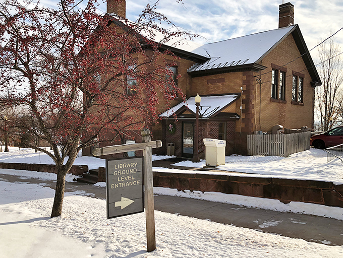 The Carnegie Library stands snow-dusted and dignified, like that one friend who somehow looks elegant even in winter's worst.