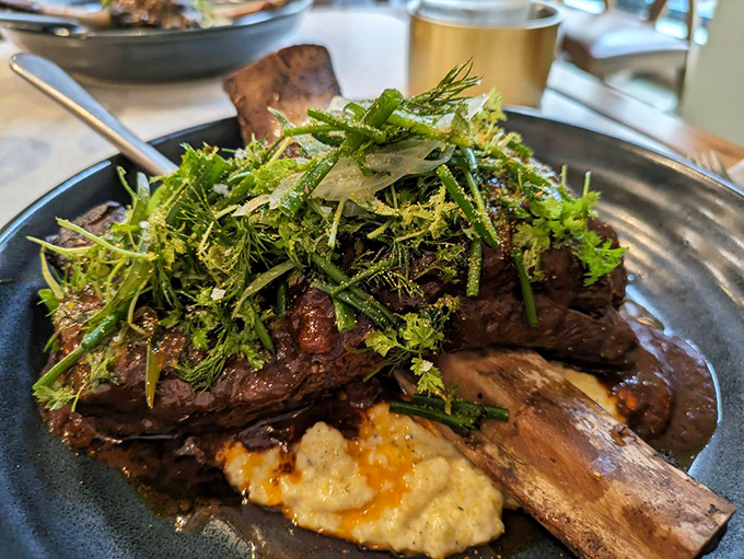 The short rib doesn't just fall off the bone—it practically leaps onto that creamy polenta bed, then dresses up with herbs like it's heading to Milan Fashion Week.