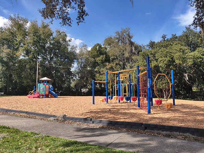 Local kids have worn paths in Bennett Park's playground for generations &ndash; proof that some forms of entertainment will always outrank screen time.