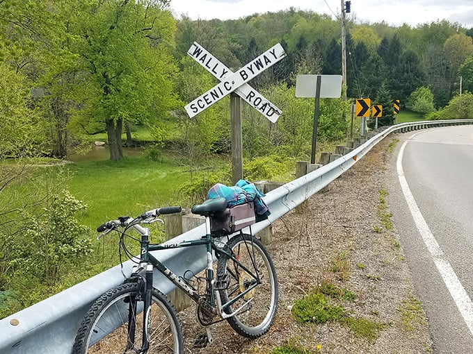 The official greeter of Wally Road Scenic Byway: a humble sign and a parked bicycle, nature's subtle invitation to slow down.