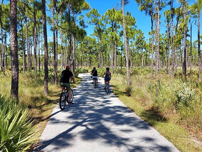 Cycling through pine flatwoods—nature's version of a spin class where the scenery constantly changes and the air conditioning is au naturel.