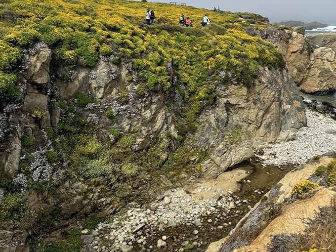The ultimate cliff-hanger! Visitors perch atop wildflower-covered bluffs for a view that makes smartphone cameras weep with inadequacy.