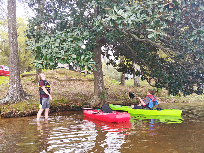 Kayaking adventures await on calm waters where the only traffic jam involves ducks and the occasional curious turtle.