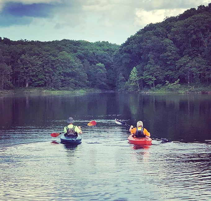 Kayaking through glass-like waters surrounded by emerald forests. Social media filters not required &ndash; nature provides its own.