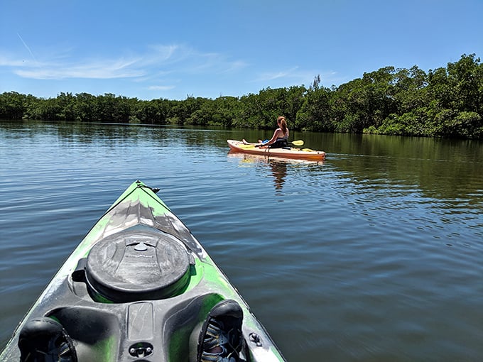 Kayaking paradise – gliding through mangrove waterways offers front-row seats to Florida's most exclusive wildlife show.