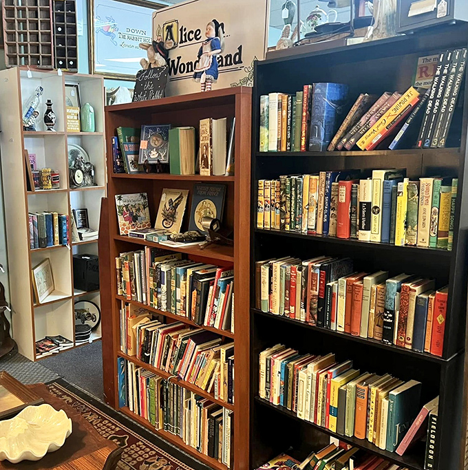 The literary corner where Alice in Wonderland presides over a kingdom of stories waiting to be rediscovered and loved again.