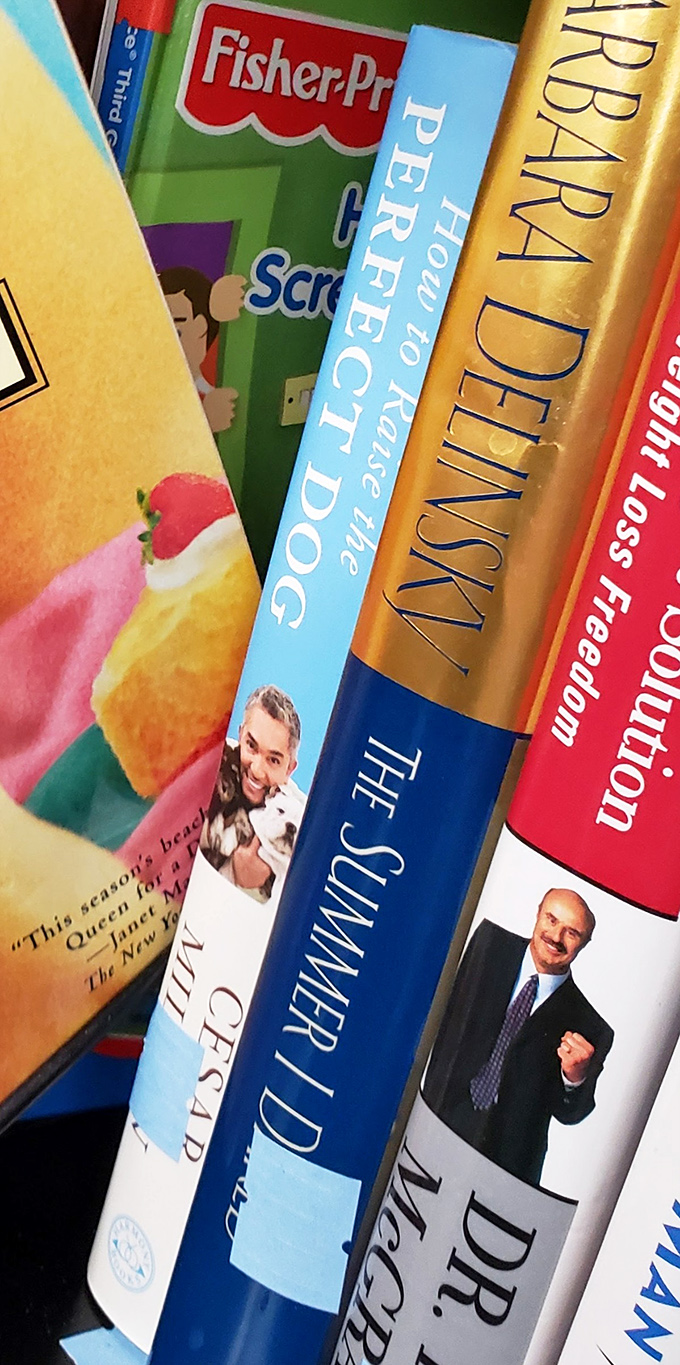 Literary treasures stacked spine to spine. From self-help gurus to classic novels, these pages hold adventures costing less than your morning latte.