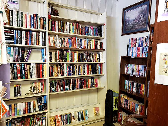 A bibliophile's dream corner where paperbacks and hardcovers wait patiently for their next adventure. More plot twists per dollar than Netflix.