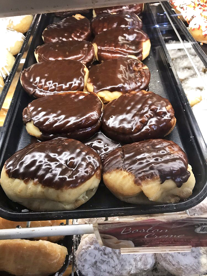 Chocolate-glazed perfection awaits! These Boston cream donuts glisten with promise, their smooth chocolate tops hiding creamy centers that'll make you forget your name.