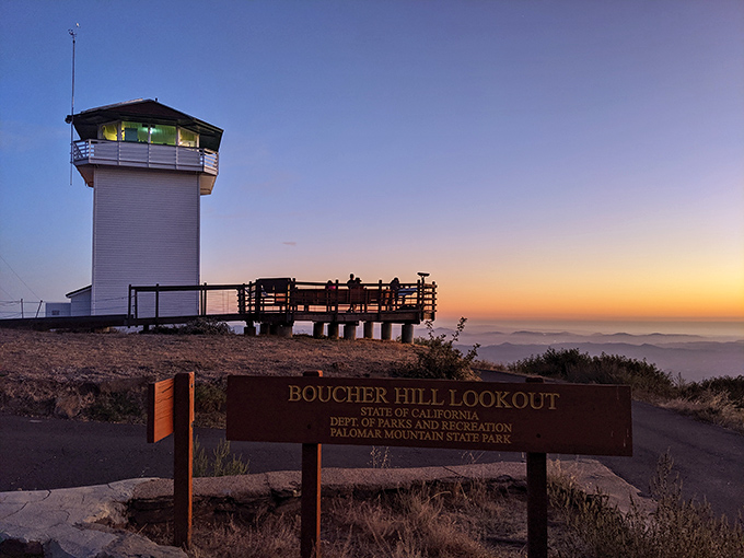 Boucher Hill Lookout at sunset transforms from fire tower to front-row seat for nature's most spectacular light show. Worth every hairpin turn of the drive.