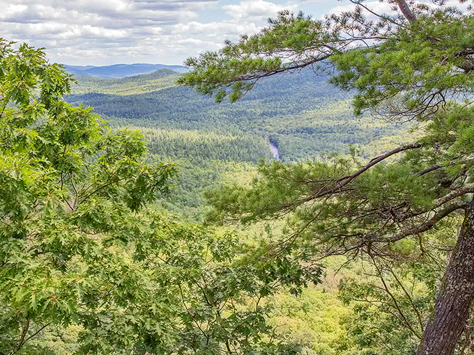 The view from Boulder Loop Trail makes you wonder if you've accidentally hiked into a Bob Ross painting. Happy little trees indeed!