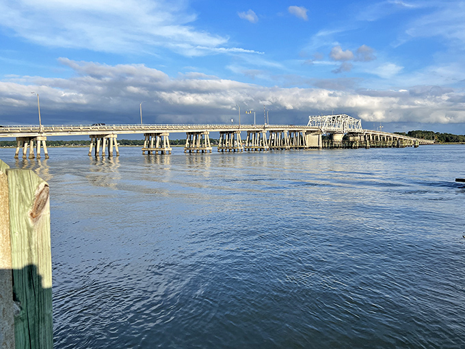 This bridge doesn't just connect land masses—it links past to present, offering panoramic views that make even routine commutes feel special.