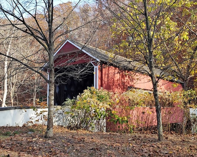 Peek-a-boo! The bridge plays hide-and-seek among fall foliage, its crimson siding a perfect complement to nature's seasonal color palette.