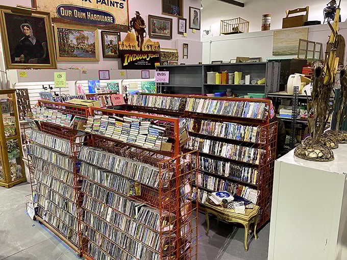 Remember when movies required rewinding? This collection preserves an entire era of "Be Kind, Rewind" anxiety.