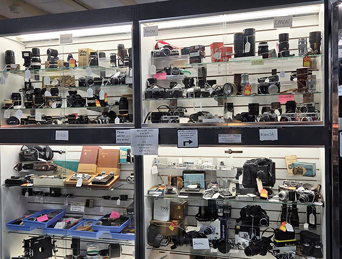 A photographer's dream&mdash;vintage cameras that captured weddings, birthdays, and everyday miracles long before "selfie" entered our vocabulary.