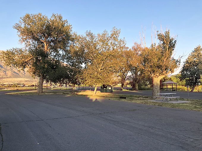 Fall camping at its finest&mdash;where golden cottonwoods frame picnic tables and the mountains remind you that Netflix can't compete with this kind of screen time.