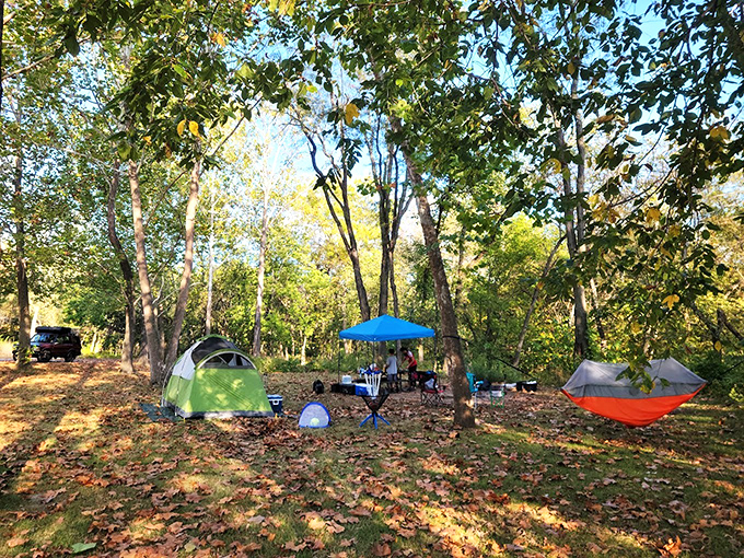 Camping nirvana achieved: where dappled sunlight filters through autumn leaves and s'mores taste inexplicably better than anywhere else on earth.