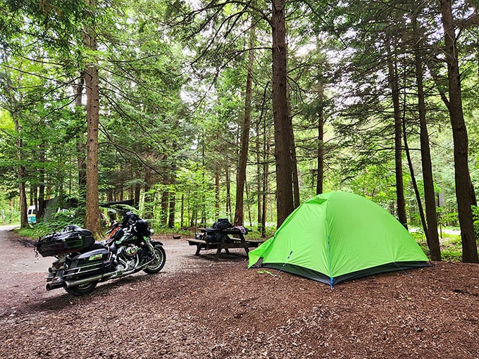 Camping nirvana among the hemlocks. Nothing says "I'm officially disconnecting" like a bright tent and the promise of stories around a campfire. 
