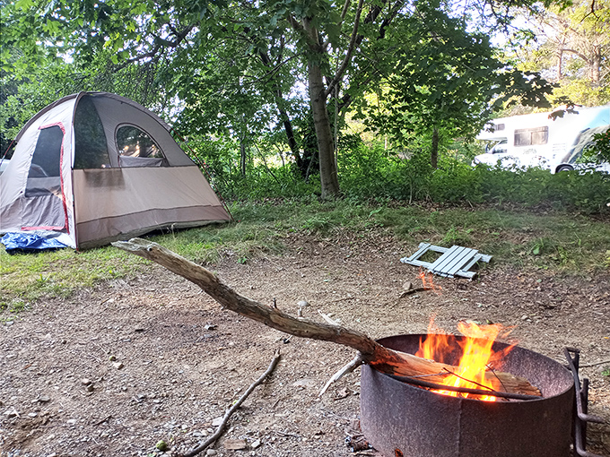 Camping 101: Tent, fire, and absolutely no emails. This rustic site offers the kind of disconnection therapy modern life desperately needs.