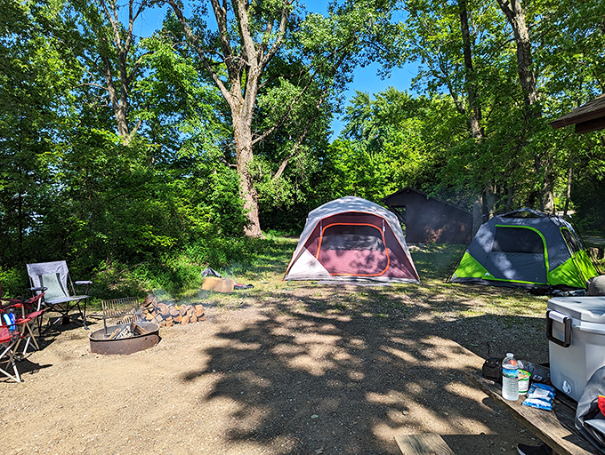 Camping sites nestled in dappled shade where your biggest neighbor complaint will be a too-cheerful morning bird.
