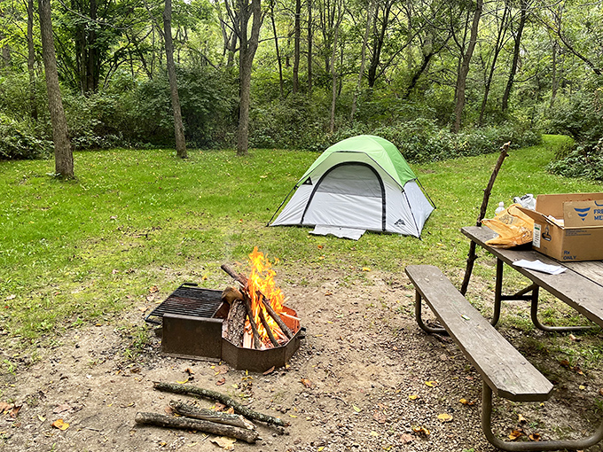 Camping nirvana: where s'mores taste better, stars shine brighter, and that "no cell service" panic quickly turns to relief.